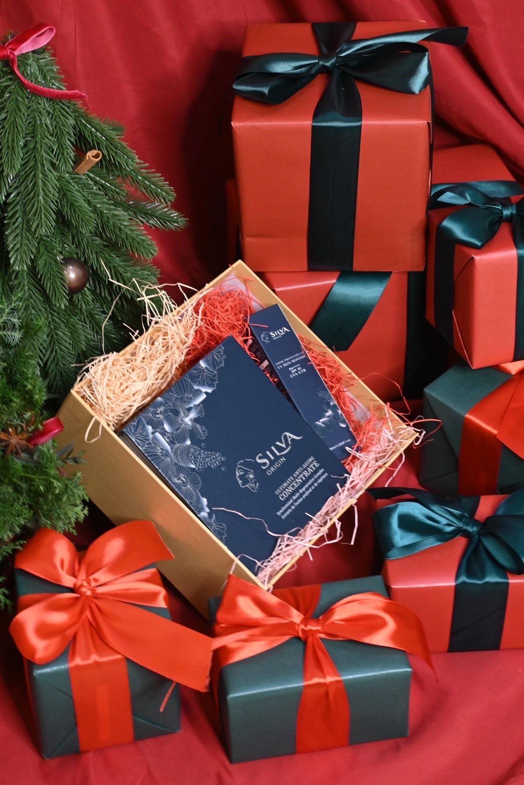 SILVA ORINGIN – SILVA ORIGIN